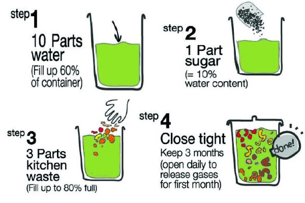 Garbage Enzyme: Saving the Earth with your Kitchen Waste (2025)