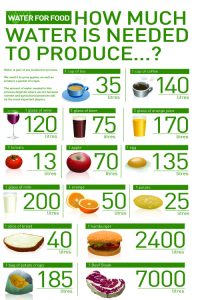 Water and Food Security (2025)