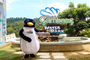 Timo Super Fiber (2024) reviews