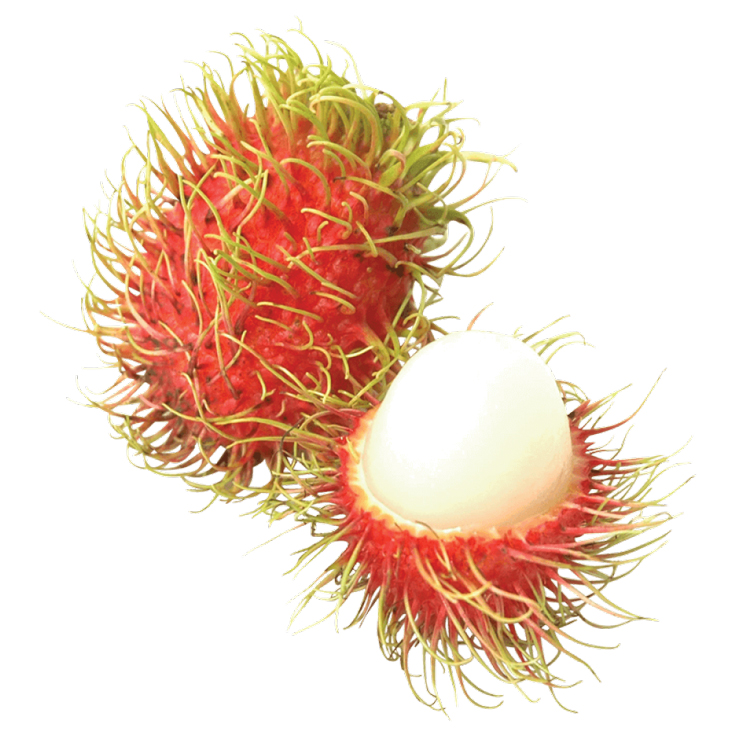 Local Treasures - 5 Tropical Fruits With Major Health Benefits (2026)
